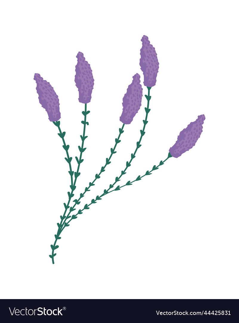 Flat violet flower Royalty Free Vector Image - VectorStock