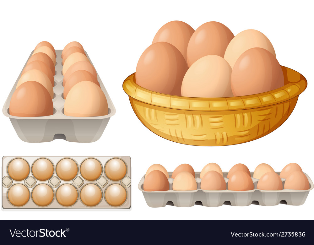 Eggs Royalty Free Vector Image - VectorStock