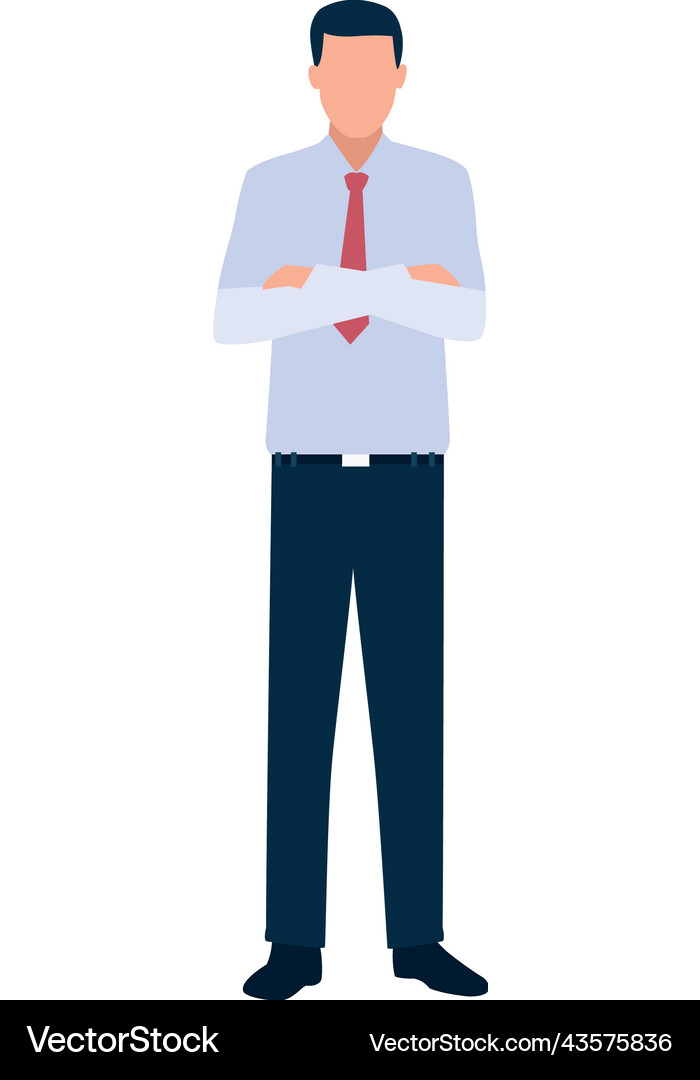 Elegant businessman standing Royalty Free Vector Image