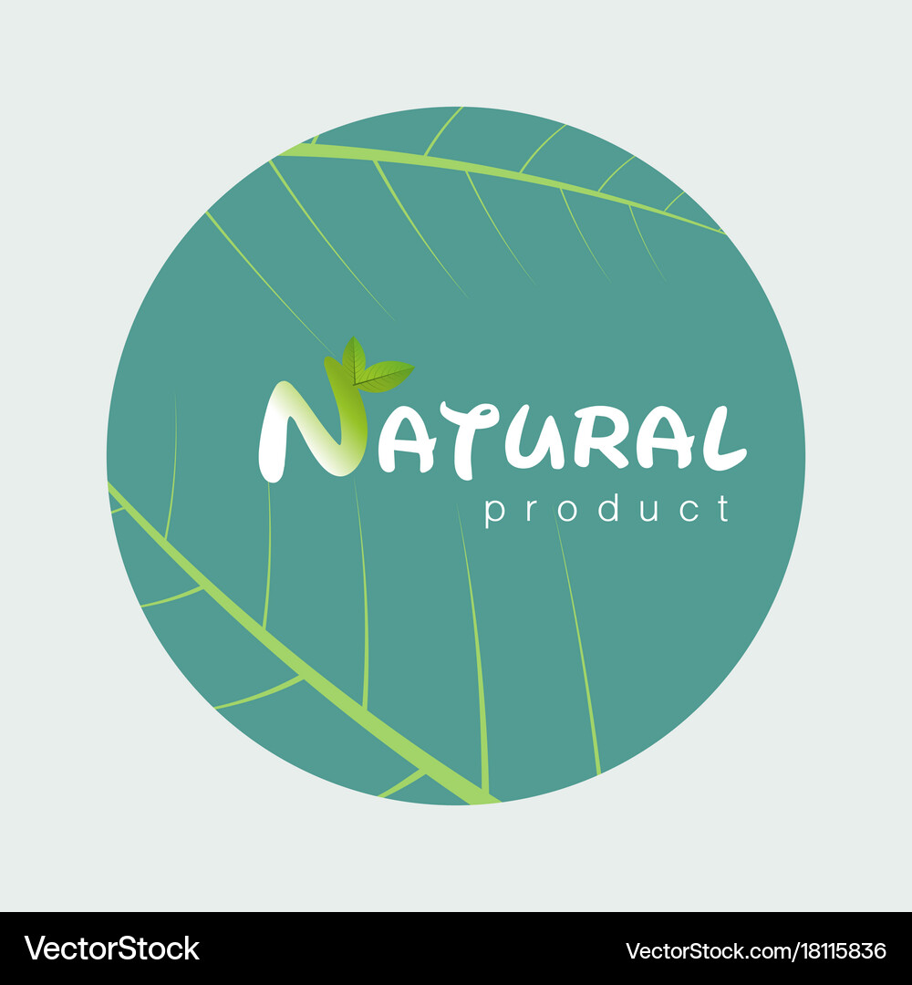 Natural product logo design template branch Vector Image