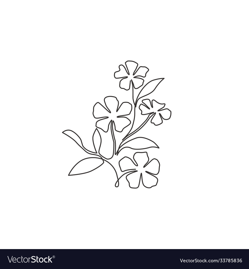 Single One Line Drawing Beauty Fresh Royalty Free Vector