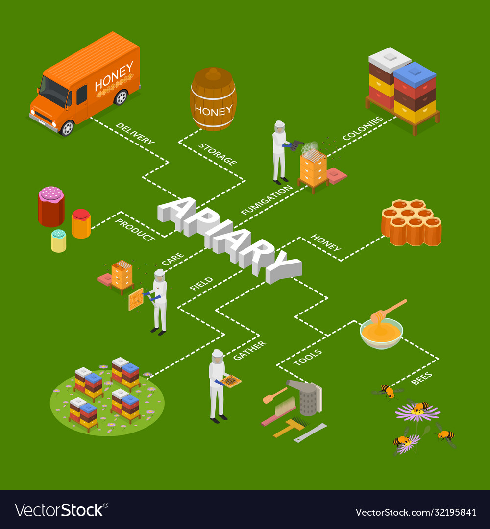Apiary concept infographics 3d isometric view Vector Image Apiary concept infographics 3d isometric view Vector Image