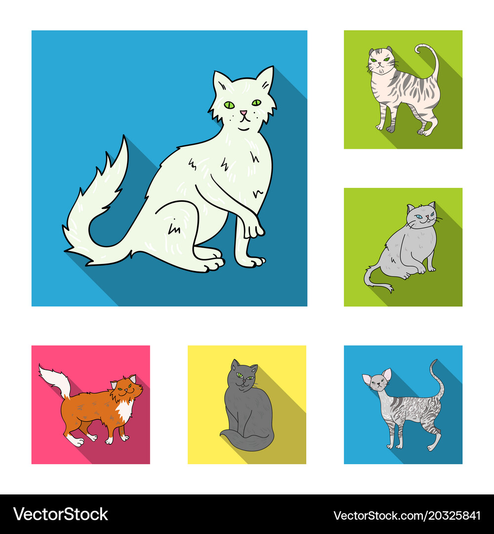 Breeds cats flat icons in set collection Vector Image