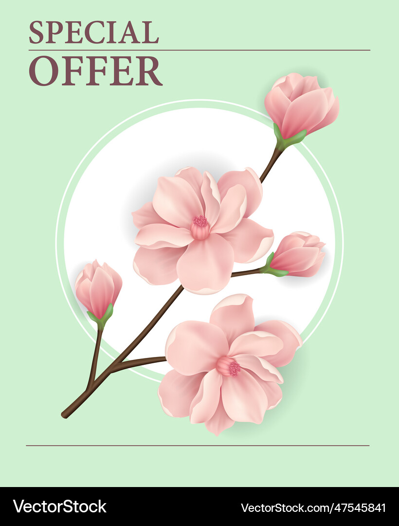 Special offer poster design with pink blooming Vector Image