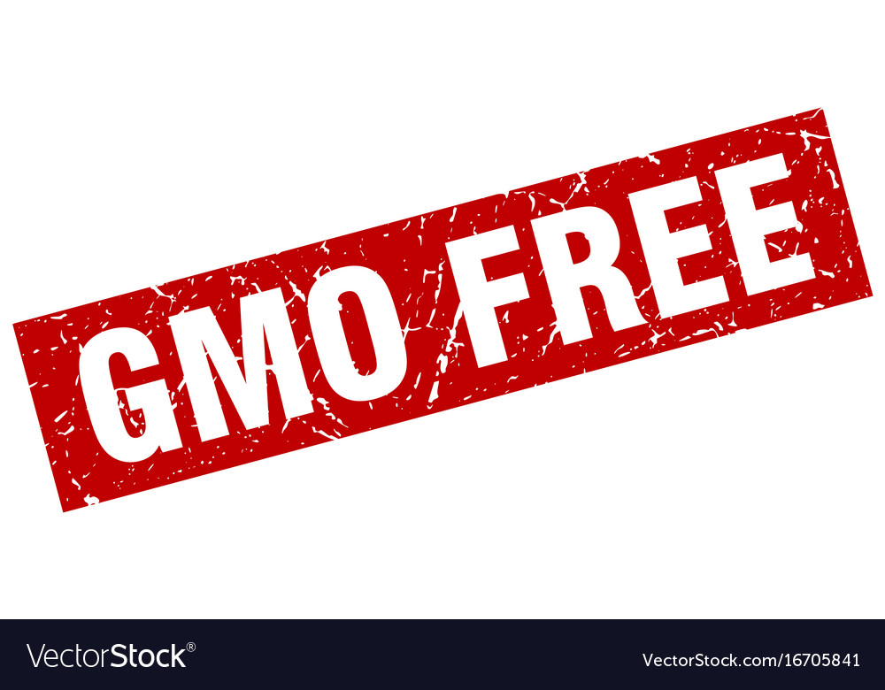 Square grunge red gmo free stamp Royalty Free Vector Image