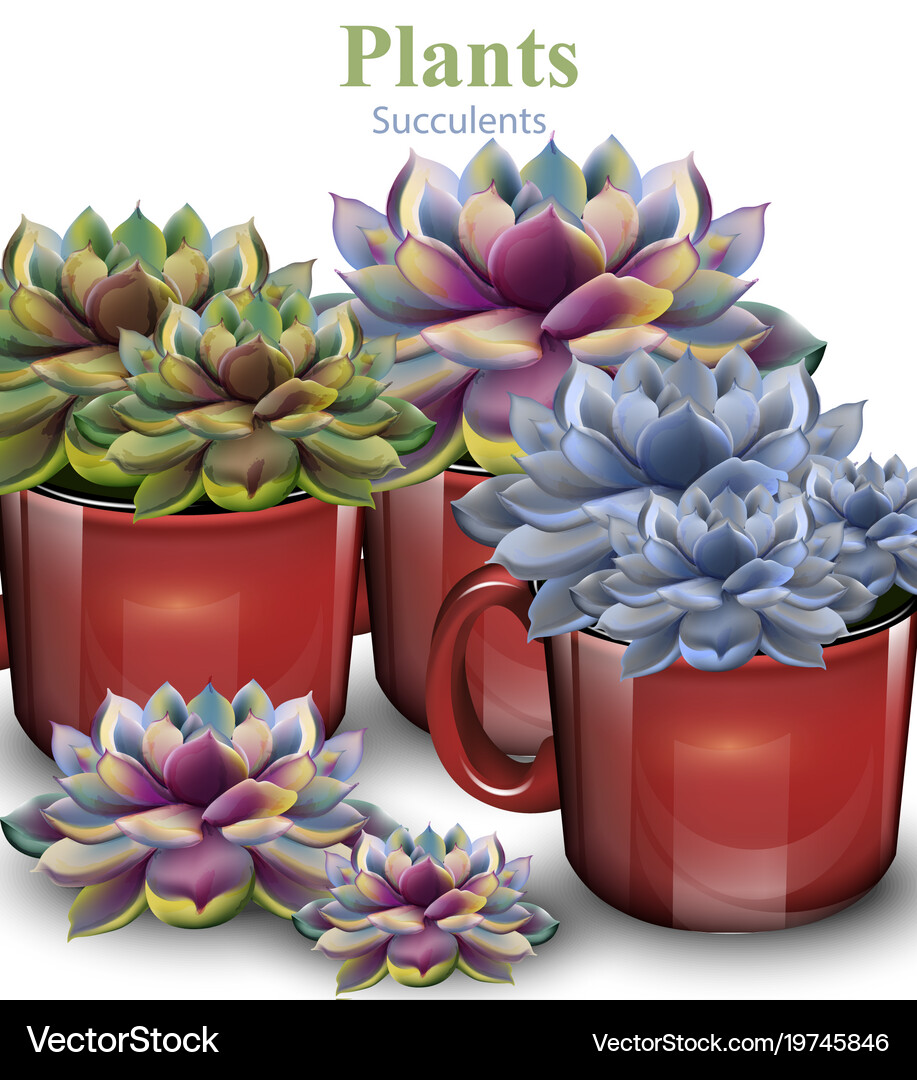 Cactus flowers background plant growing Royalty Free Vector