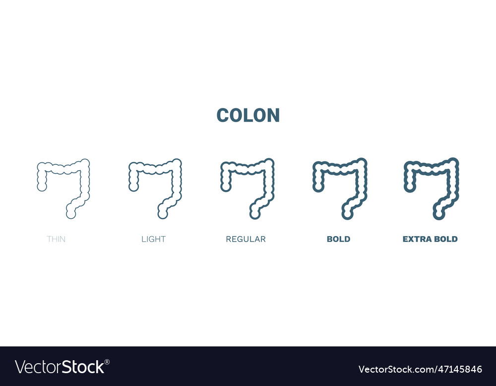 Colon icon thin light regular bold black Vector Image