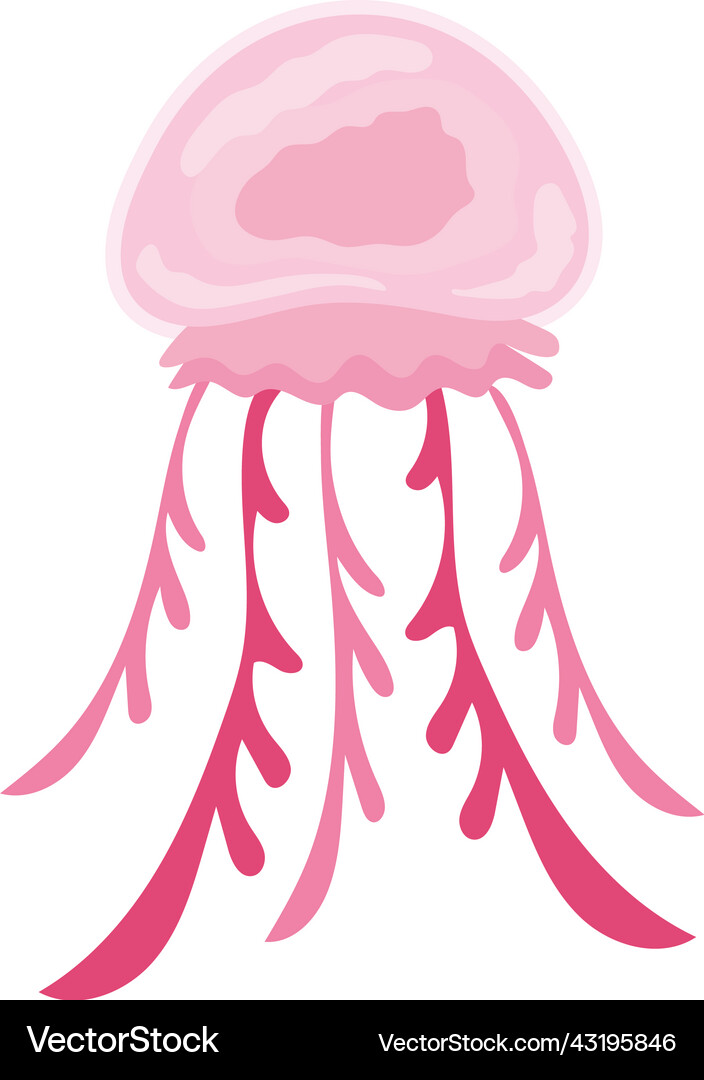 Jellyfish pink sealife Royalty Free Vector Image