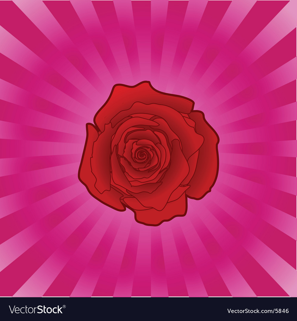 Rose background Royalty Free Vector Image - VectorStock
