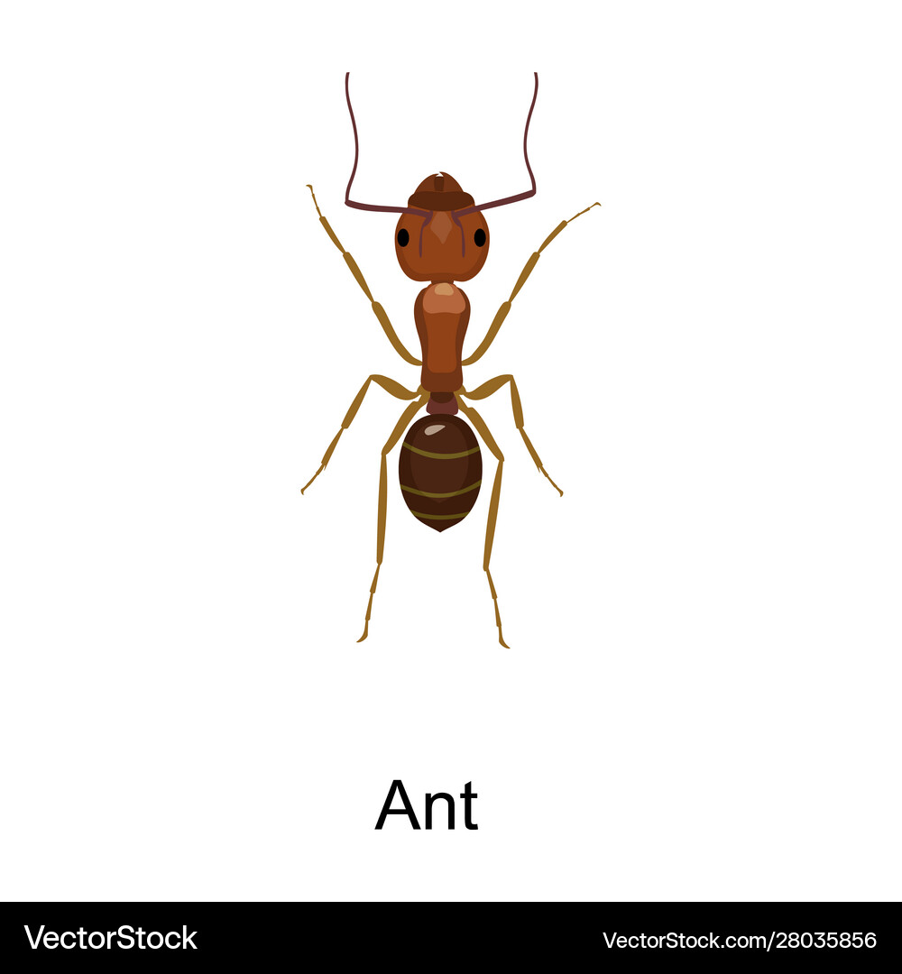 Ant iconcartoon icon isolated Royalty Free Vector Image