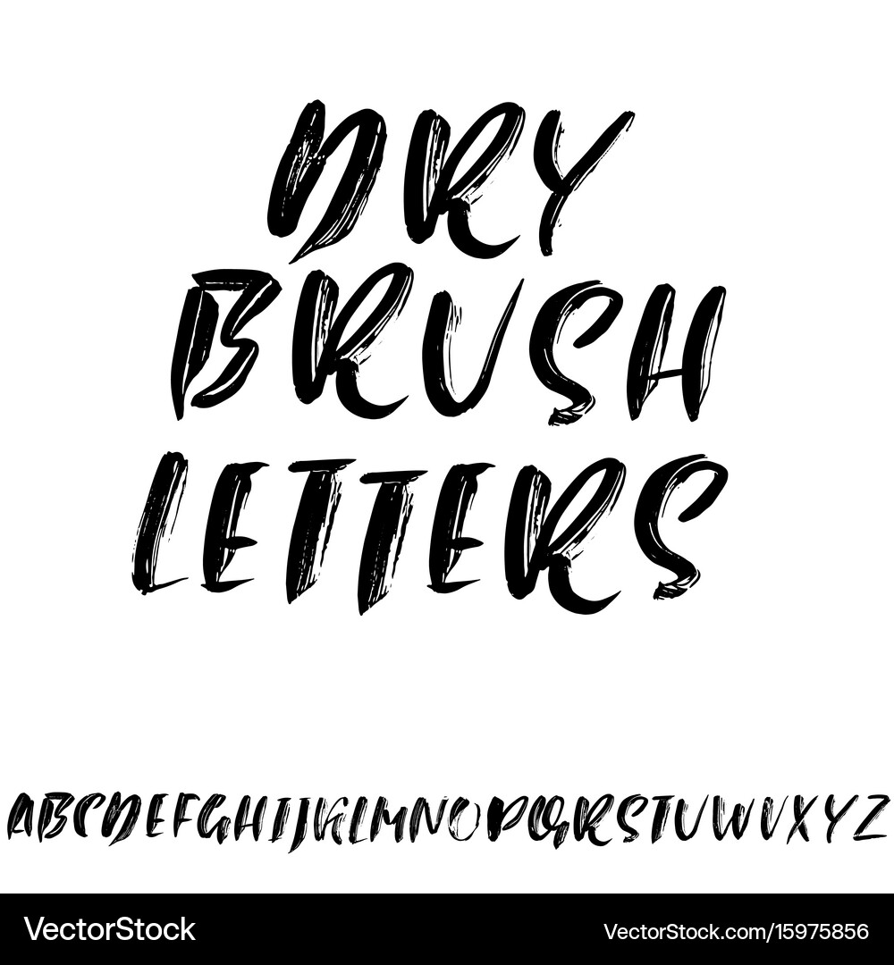 Hand drawn elegant calligraphy font modern brush Vector Image