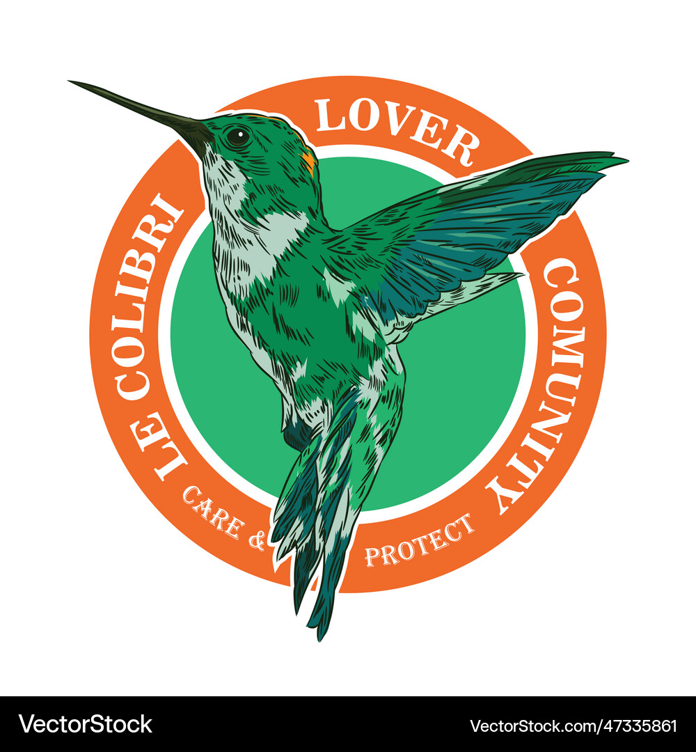 Colibri bird in hand drawn sty Royalty Free Vector Image