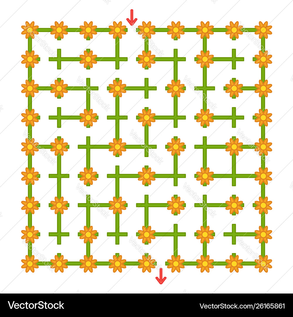 Colorful square labyrinth with flowers Royalty Free Vector