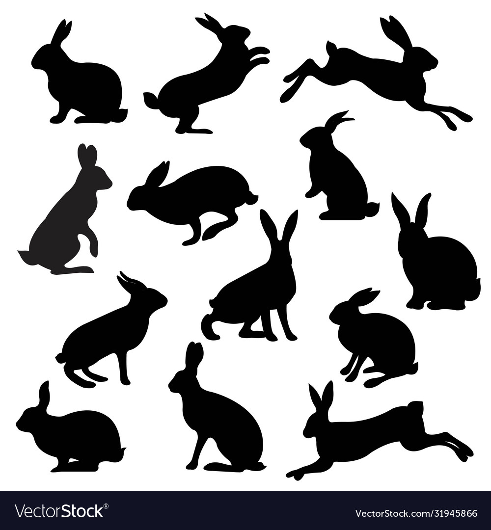 Big Set Rabbit Isolated White Background Vector Image