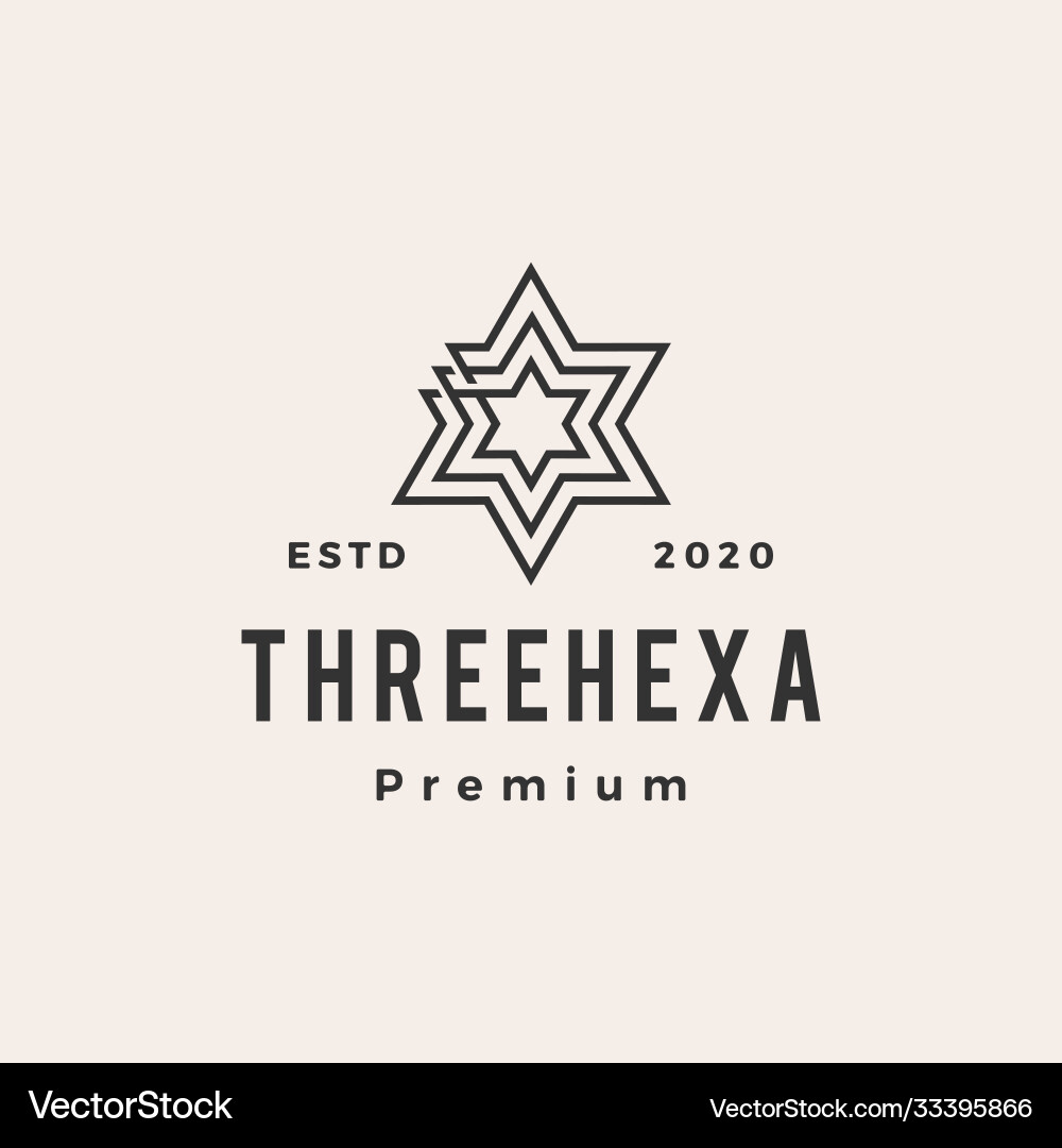 Three hexagram hipster vintage logo icon Vector Image