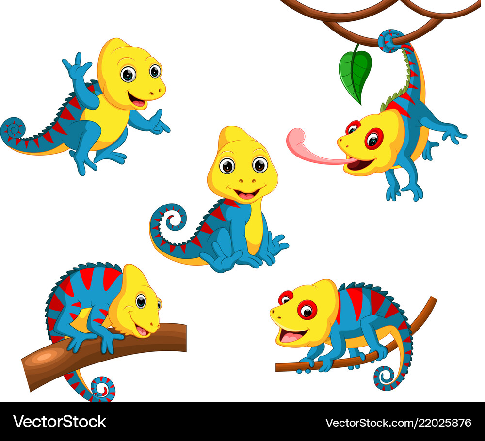 Collection of the chameleon Royalty Free Vector Image