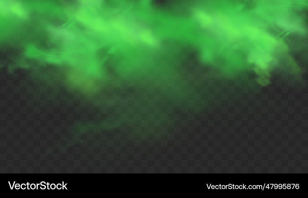 Green smoke isolated on transparent background Vector Image