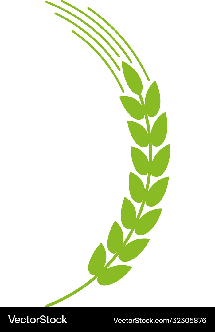 Spikes plants organic product icon Royalty Free Vector Image