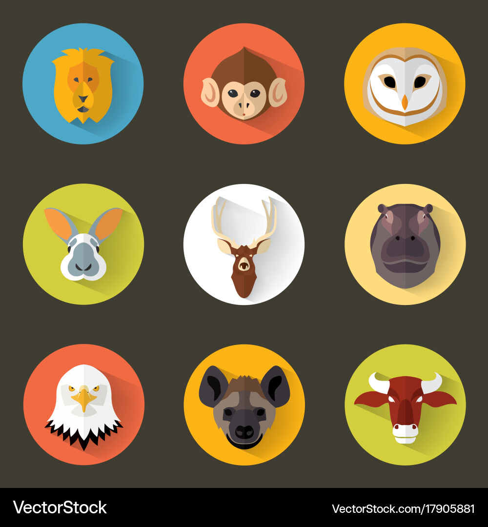 Animal portraits with flat design Royalty Free Vector Image