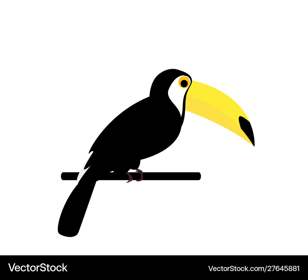Toucan bird isolated on white background Vector Image