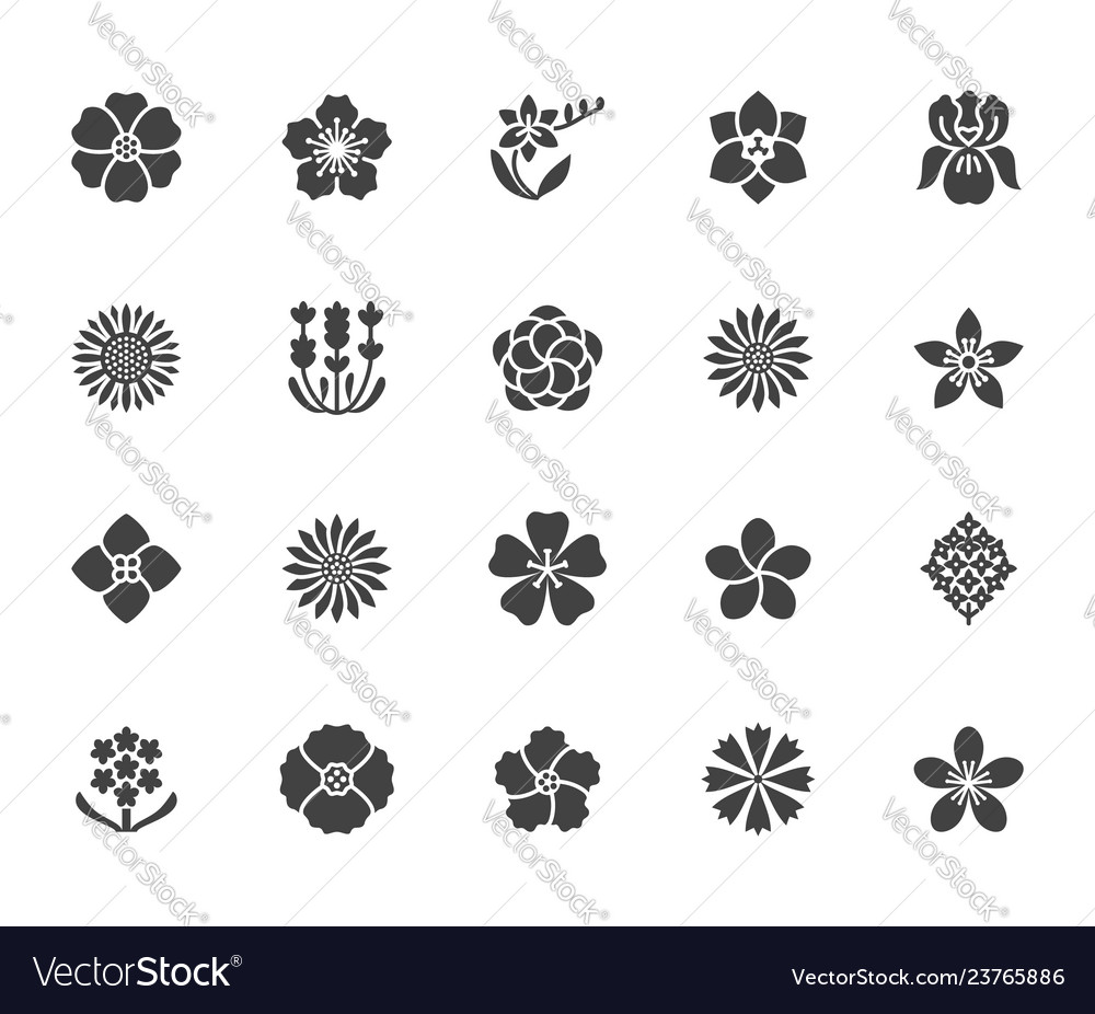 Flowers flat glyph icons beautiful garden plants Vector Image