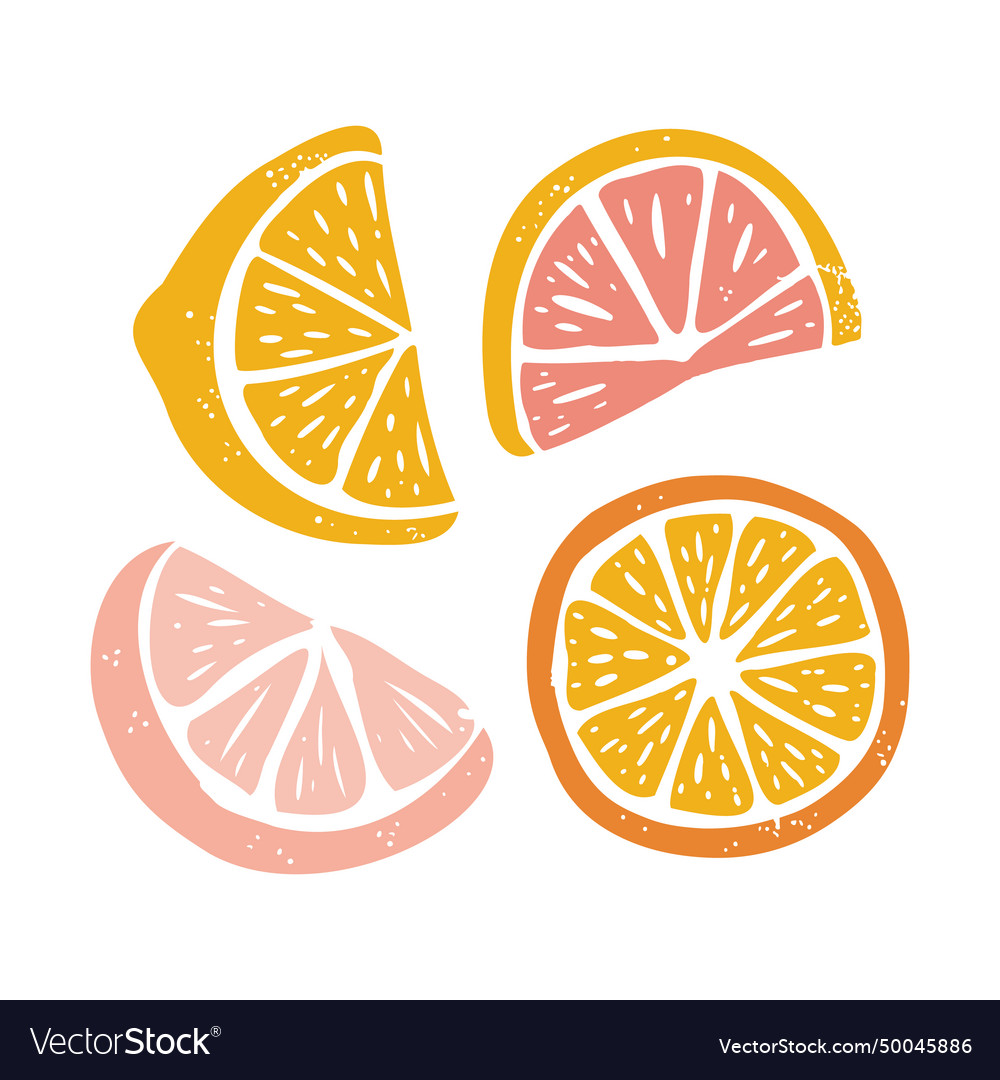 Lemon Royalty Free Vector Image - VectorStock