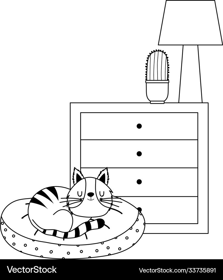 Cat sleeping on cushion drawers with cactus Vector Image