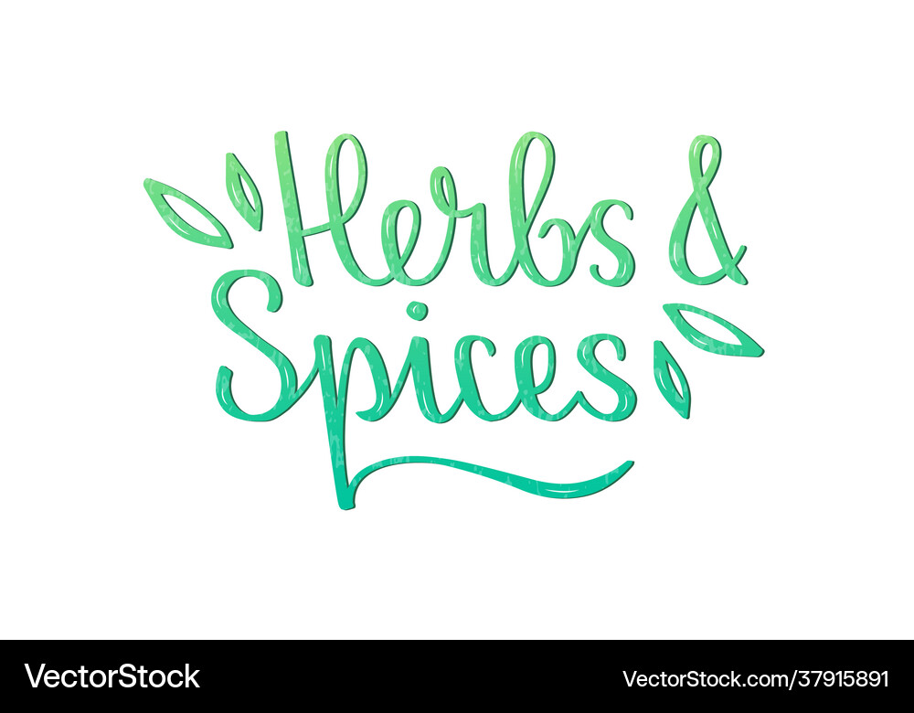 Herbs and spices green gradient lettering Vector Image