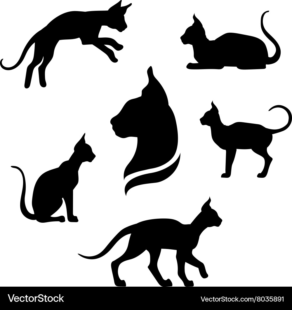 Sphynx cat icons and silhouettes Royalty Free Vector Image