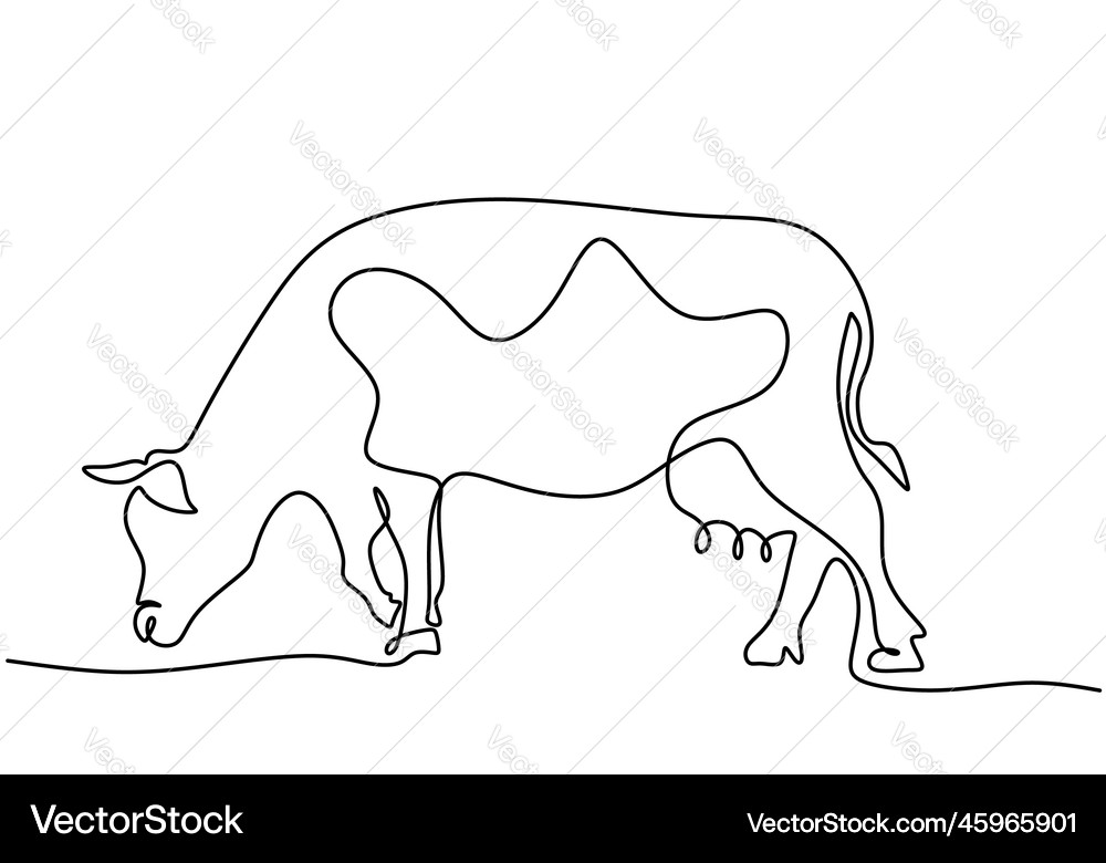 Grazing cow in continuous line art drawing style Vector Image