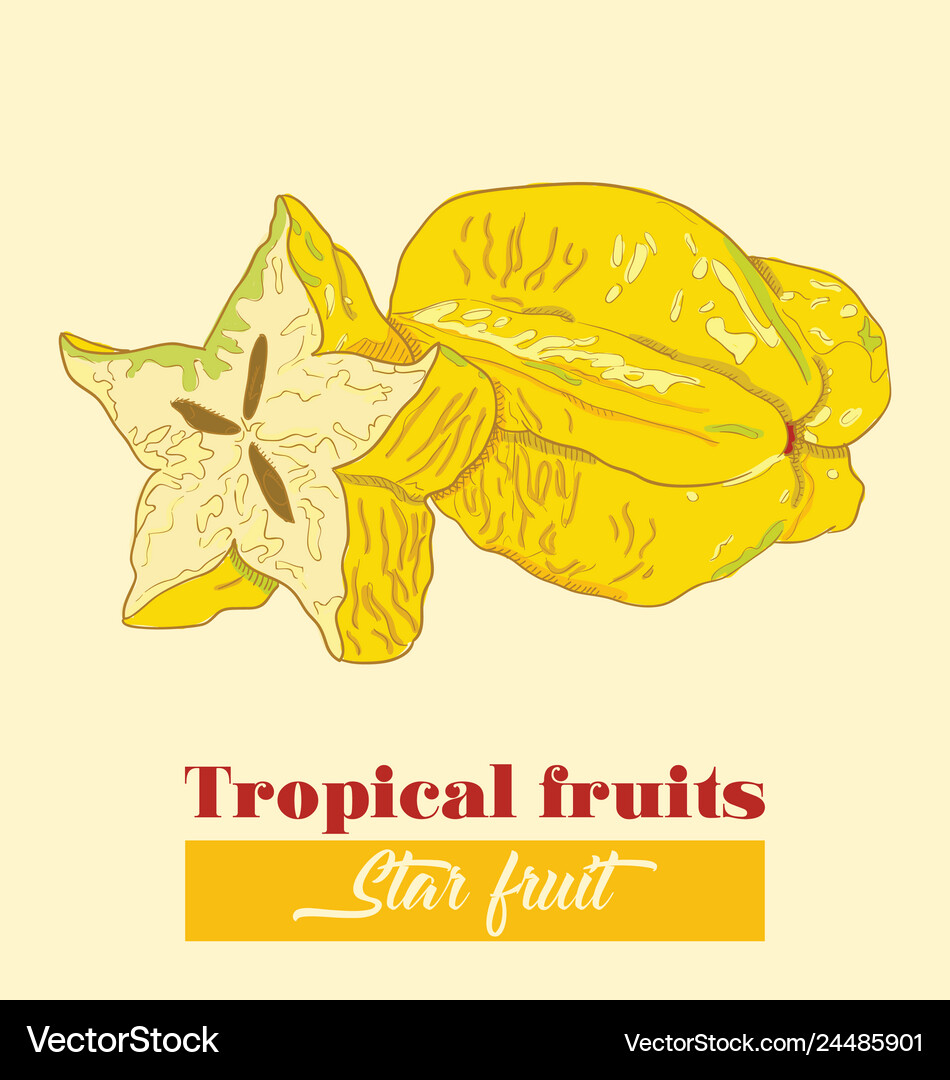 Hand drawn colorful exotic tropical star fruit Vector Image