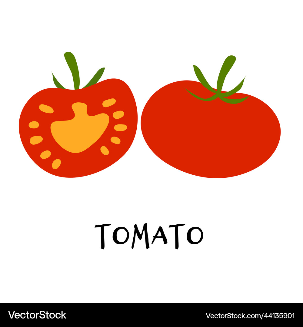 Ripe red tomato in hand drawn flat style Vector Image