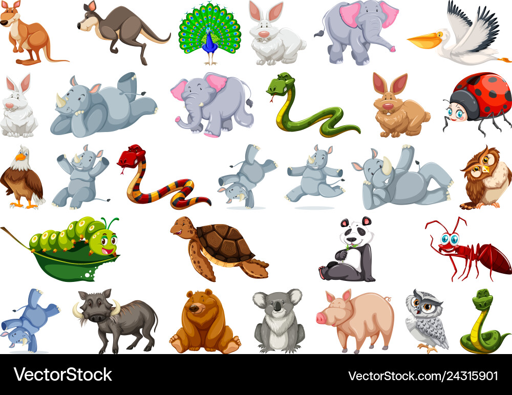 Set of wild animal Royalty Free Vector Image - VectorStock
