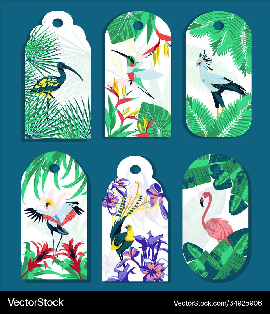 Collection tags with tropical plants and birds Vector Image