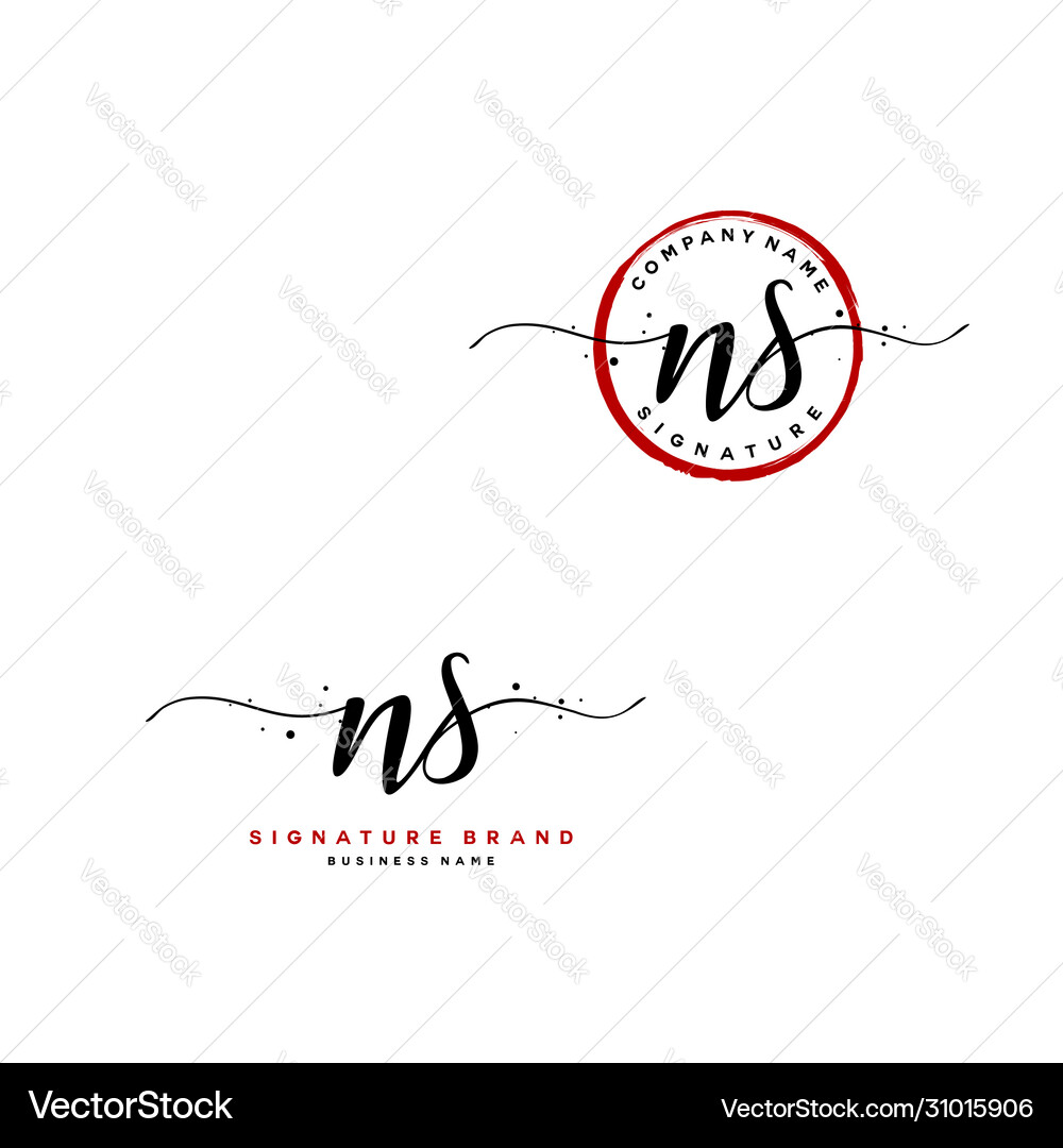 N s ns initial letter handwriting and signature Vector Image