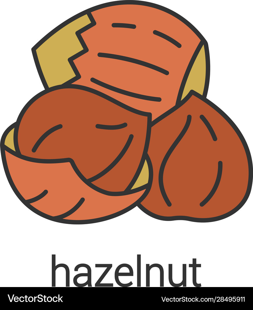 Hazelnut color icon Royalty Free Vector Image - VectorStock