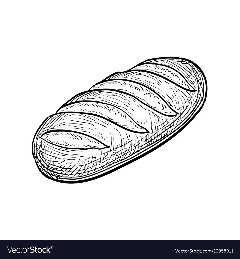 Loaf bread Royalty Free Vector Image - VectorStock