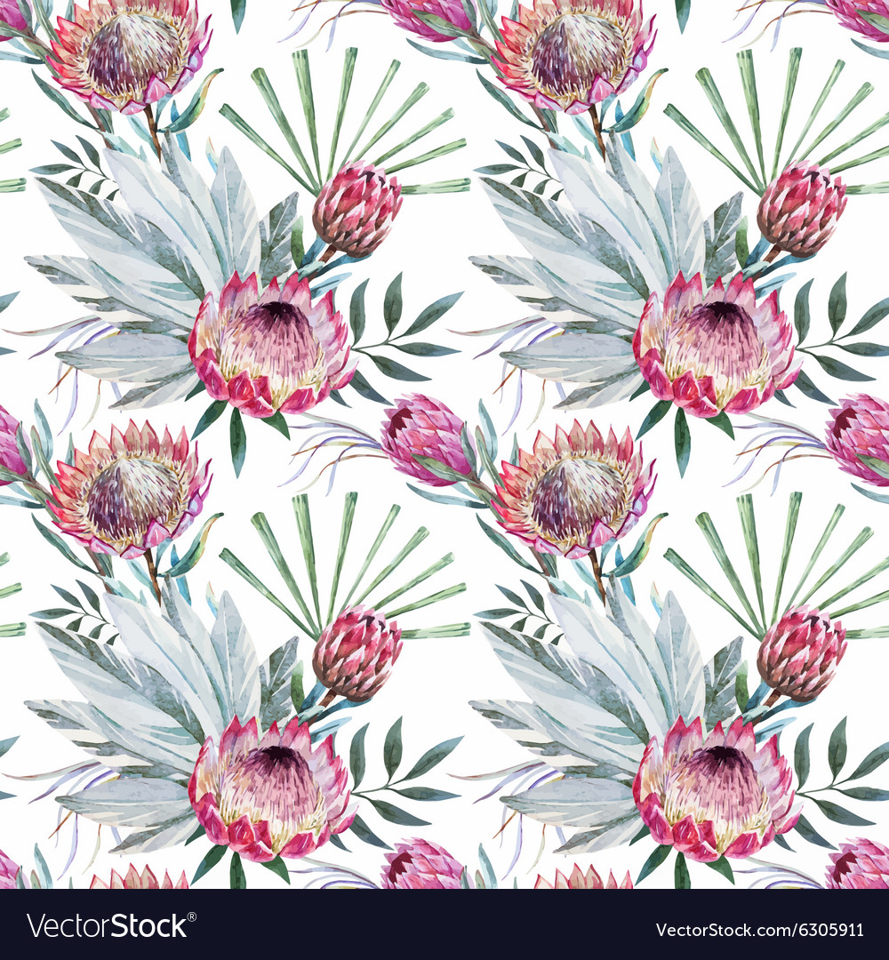 Tropical protea pattern Royalty Free Vector Image