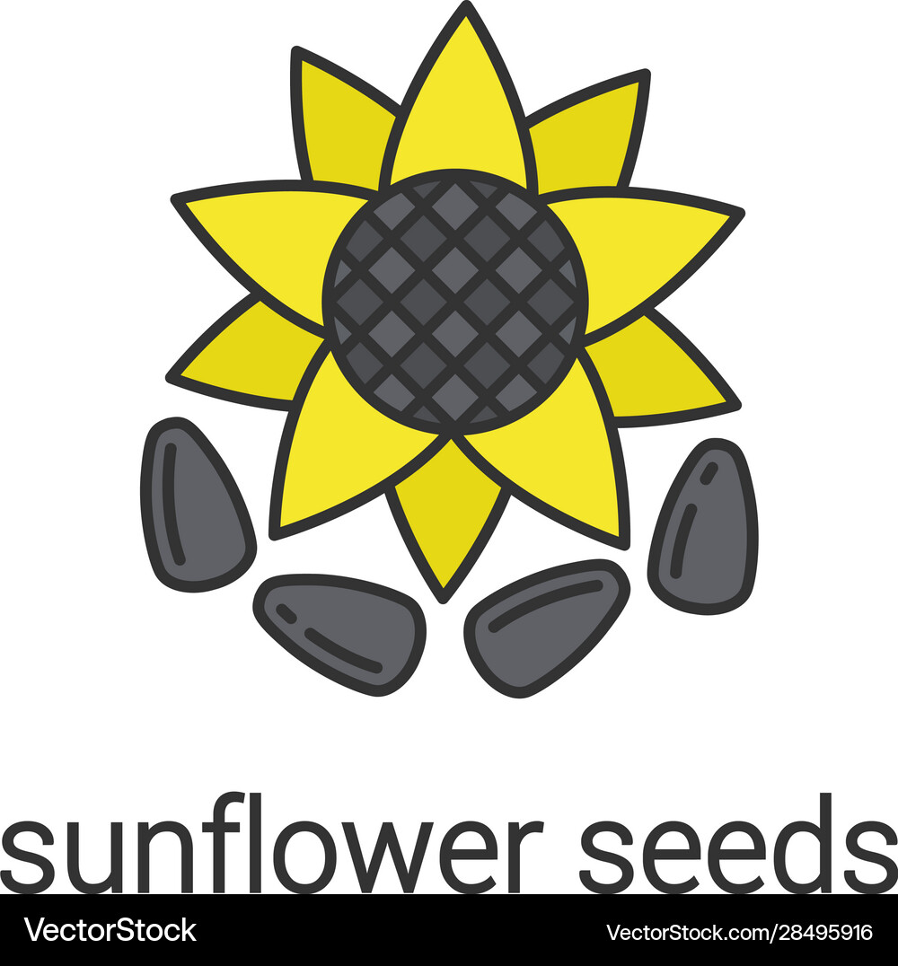 Sunflower seeds color icon Royalty Free Vector Image