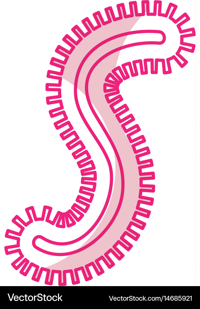 Bacterial cell structure icon Royalty Free Vector Image