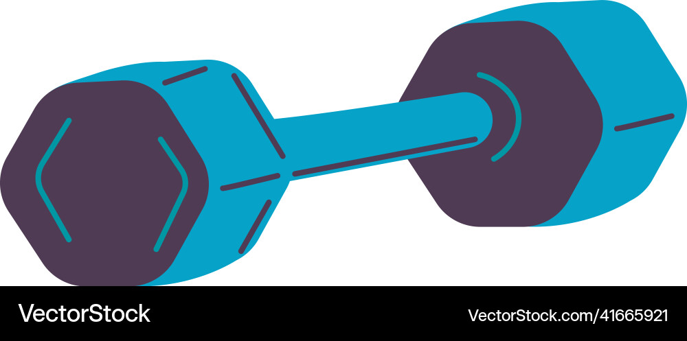 Dumbbells for sportive training and gym exercises Vector Image
