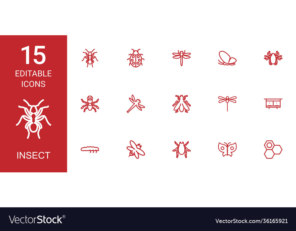 Insect icons Royalty Free Vector Image - VectorStock