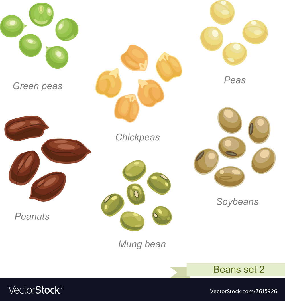 Beans and peas second icon set Royalty Free Vector Image