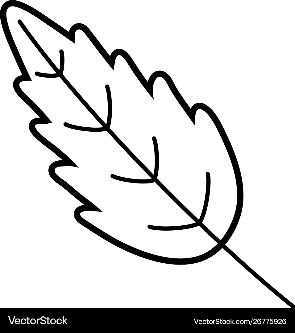 Isolated leaf design Royalty Free Vector Image