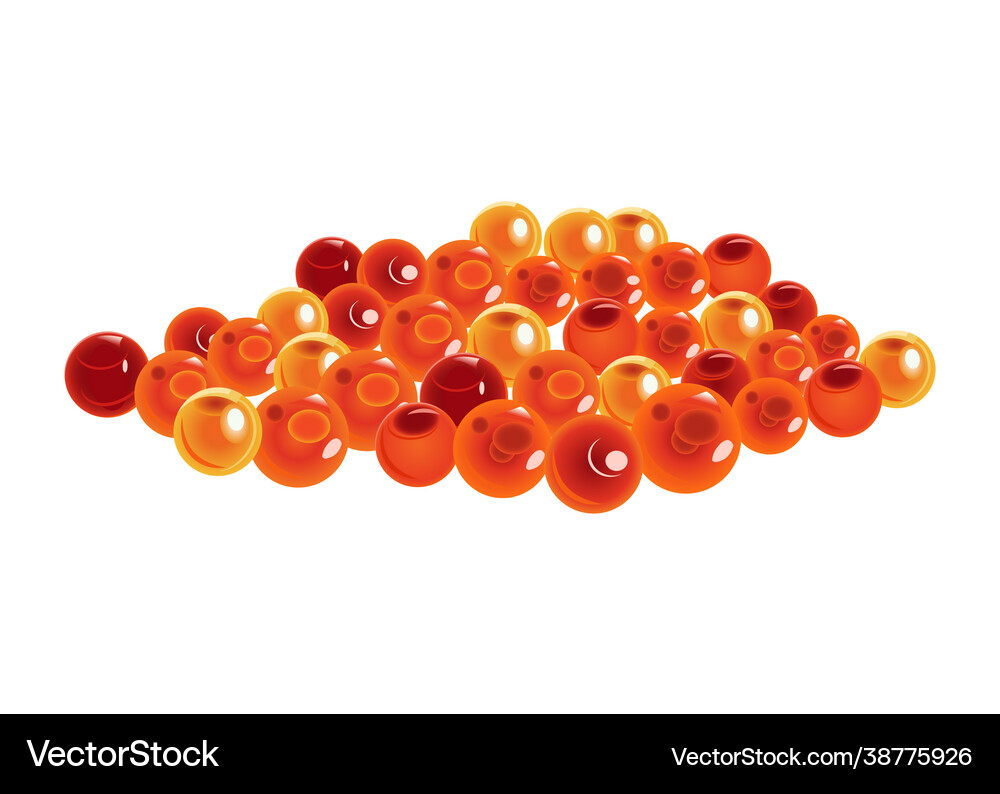 Salmon fish red caviar isolated on white Vector Image