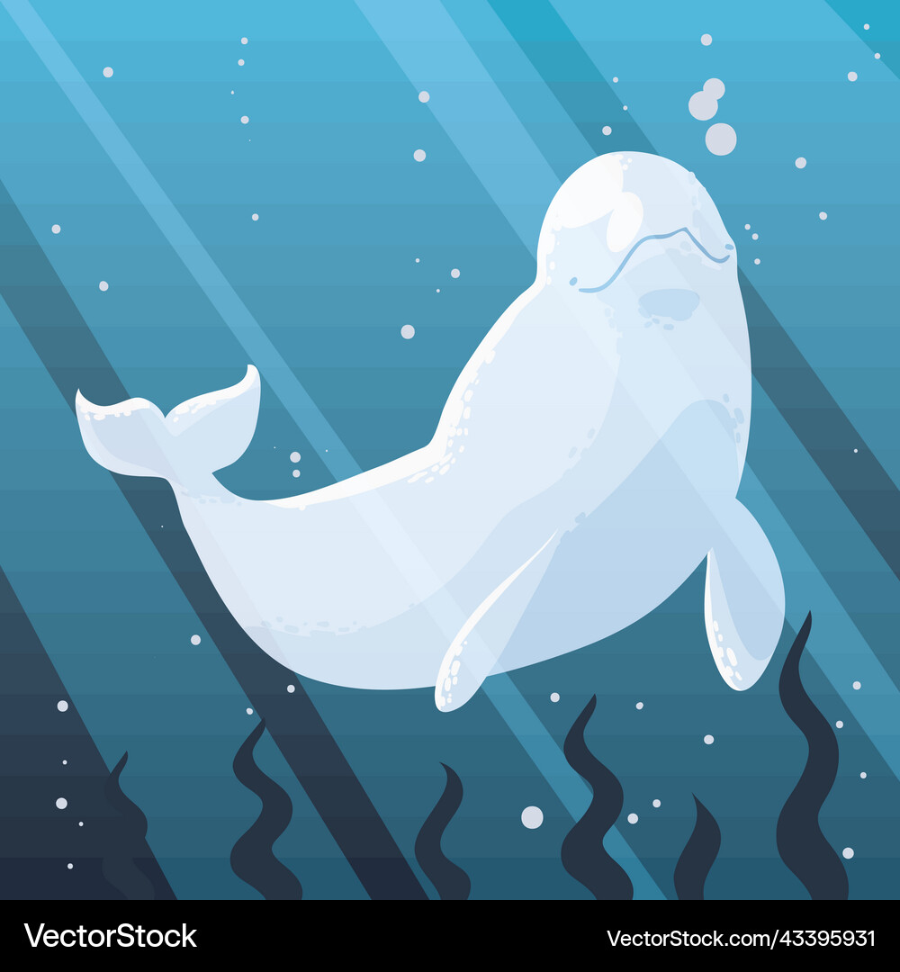 Beluga underwater and seaweed Royalty Free Vector Image
