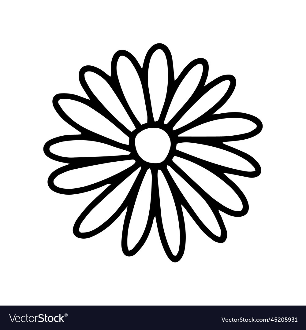 Hand Drawn Daisy Flower Royalty Free Vector Image