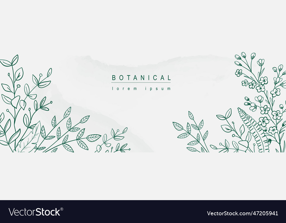 Botanical abstract background with floral line art