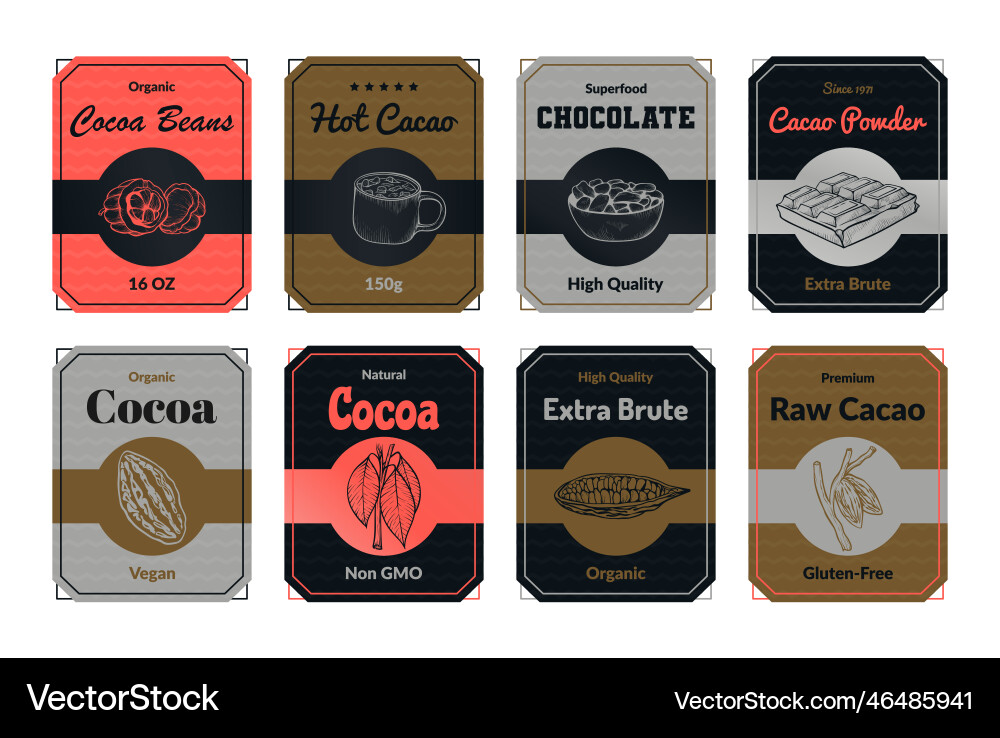 Cocoa beans engraved label organic natural high Vector Image