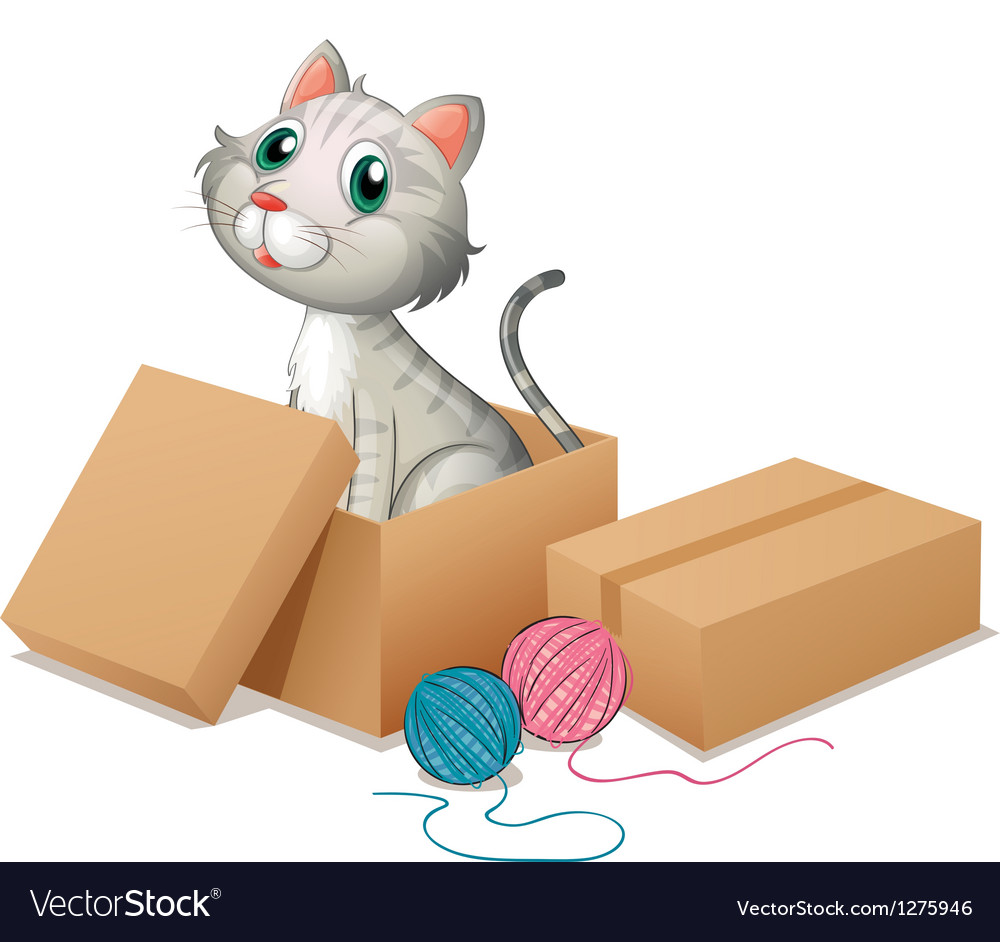 A cat inside box Royalty Free Vector Image - VectorStock